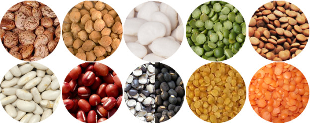 Pulses – the best kept protein secret - The Ayurveda Practice