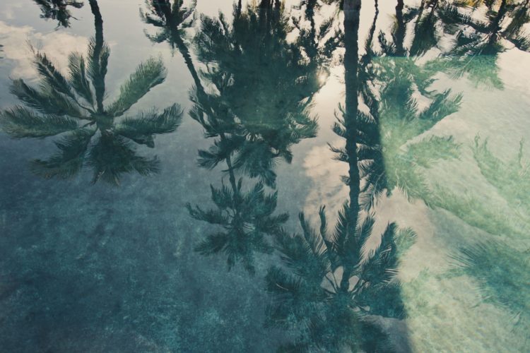 Quench the flames of pitta this summer - The Ayurveda Practice